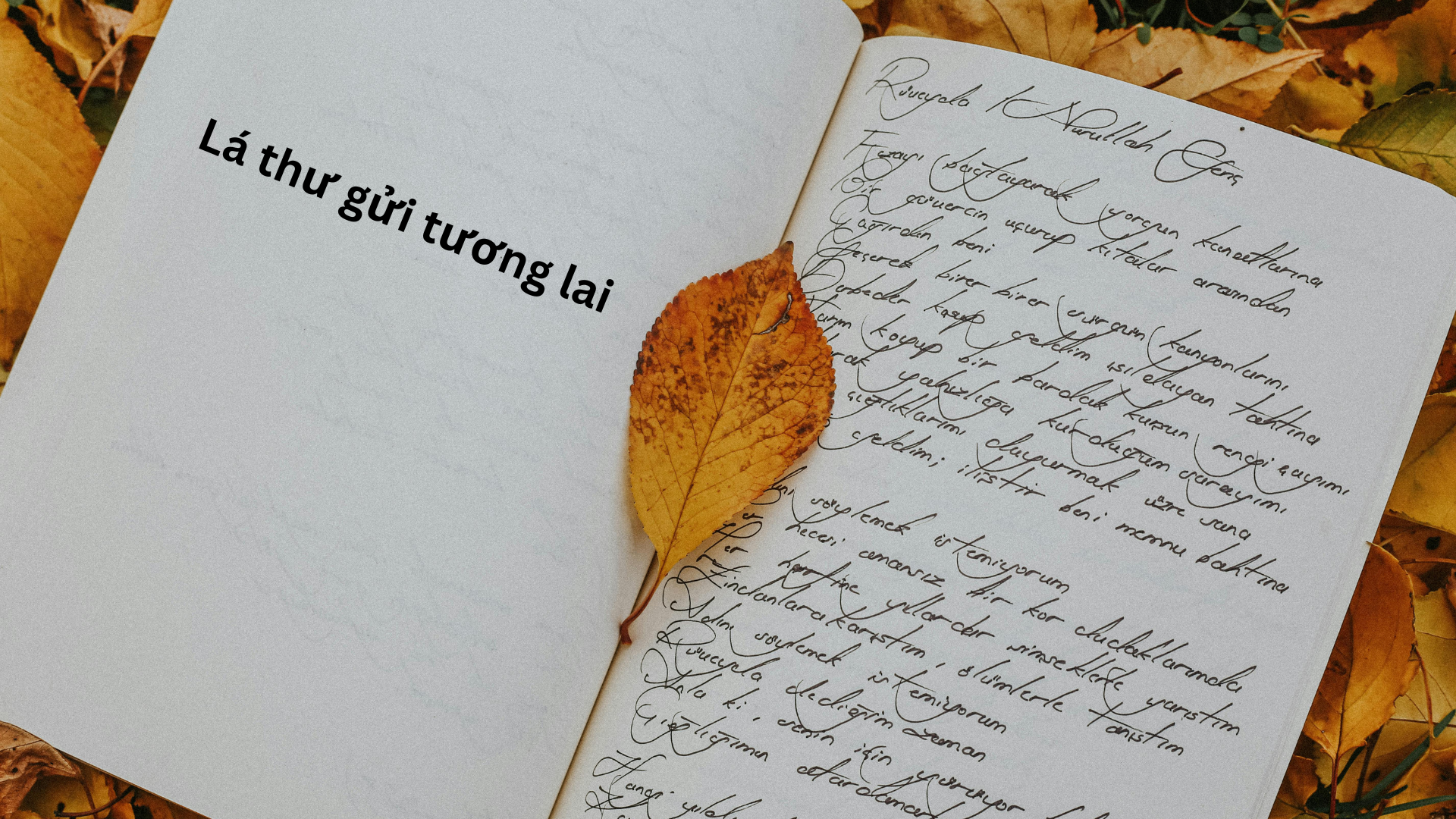Bài mẫu Viết thư UPU lần thứ 55: Mã gen cảm xúc